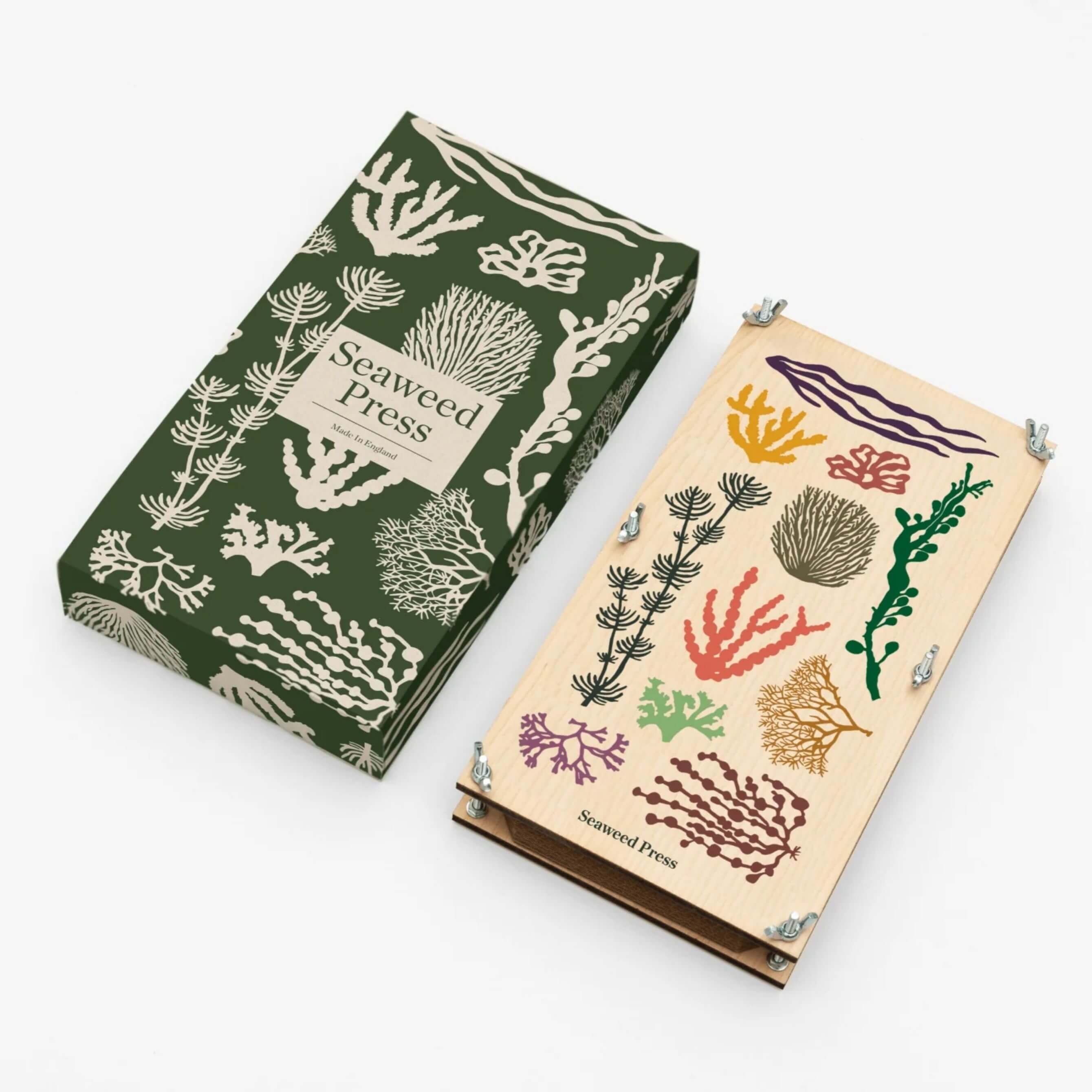Eco-Friendly Seaweed Packaging Boxes – Bespoke Boxes Co.